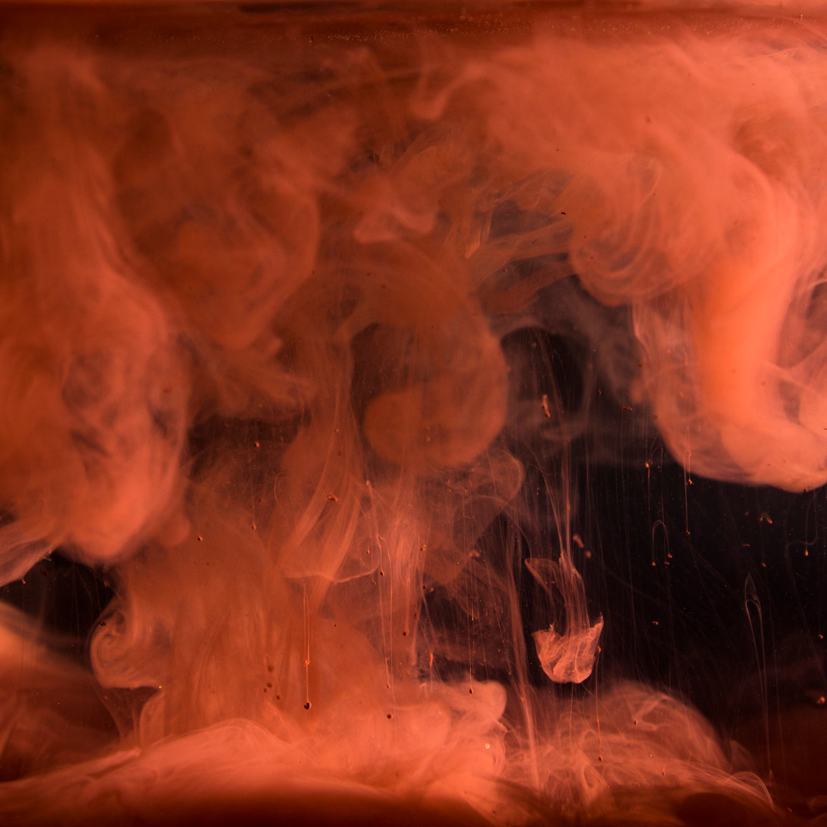 Hot & Trending – Confection Perfection